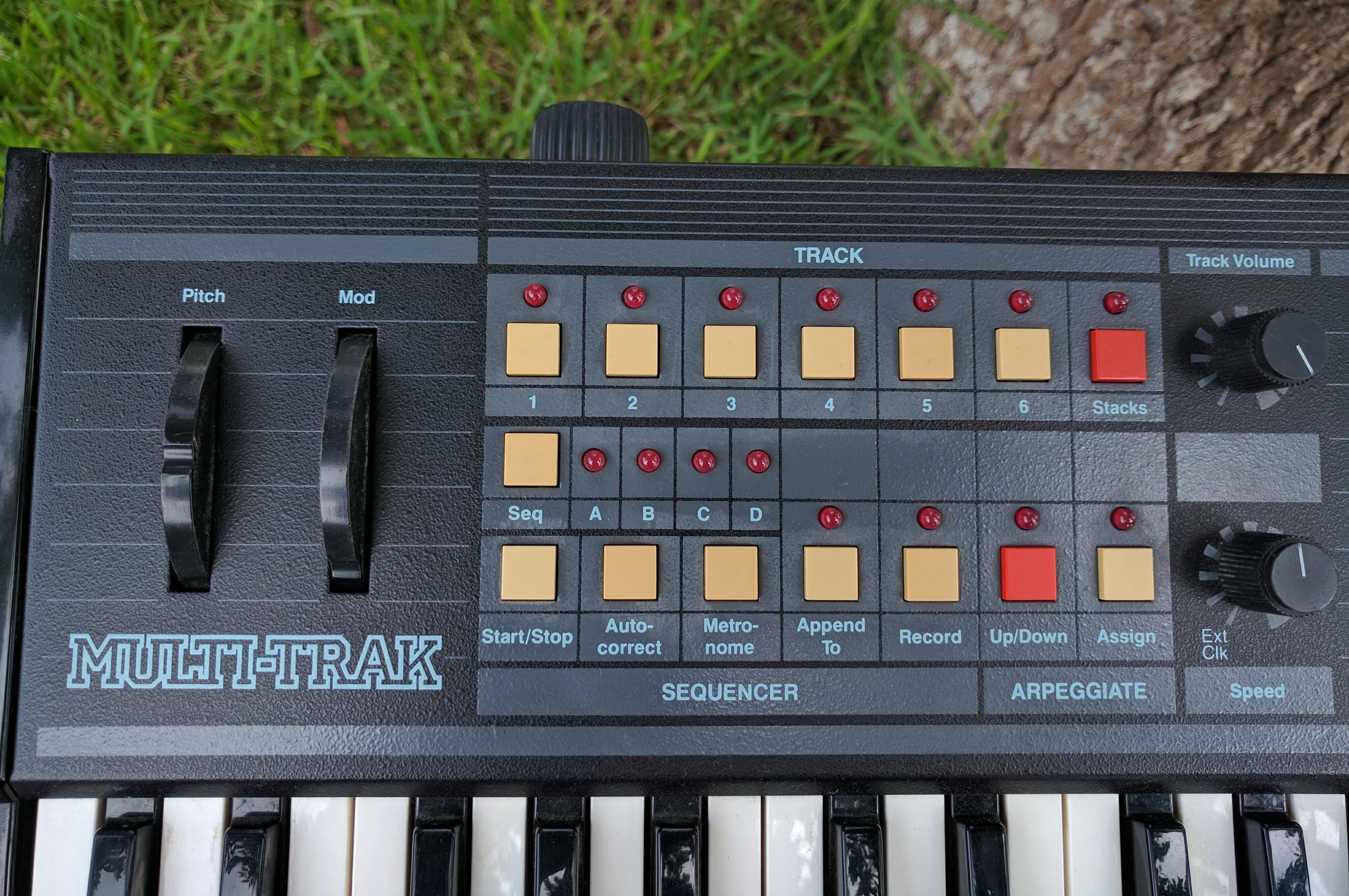 Sequential Multi-Trak photo gallery - Syntaur