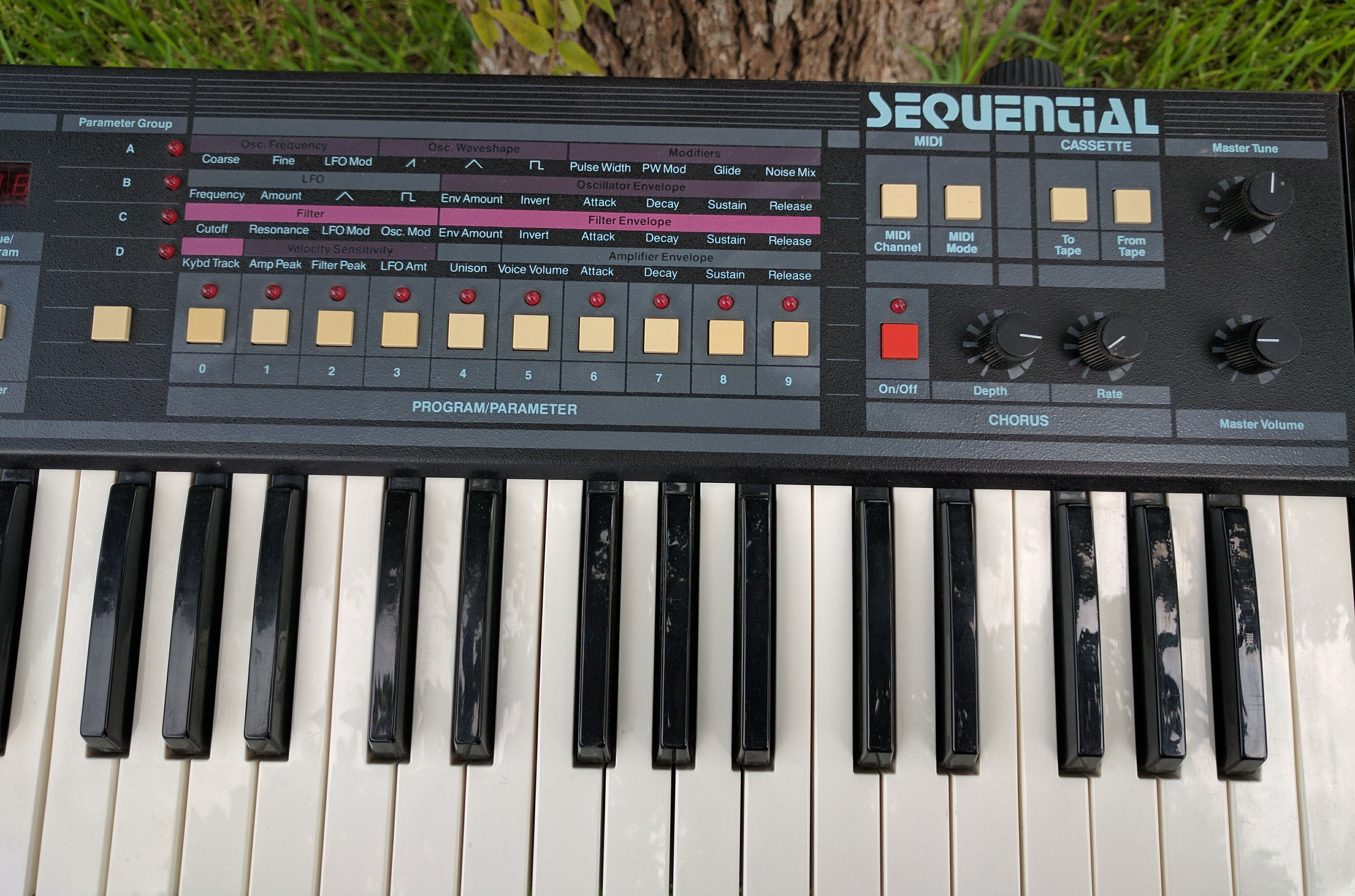 Sequential Multi-Trak photo gallery - Syntaur